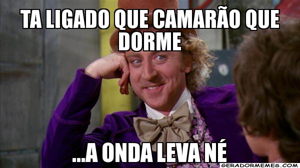 Meme: informação em transformação – haroldo enéas